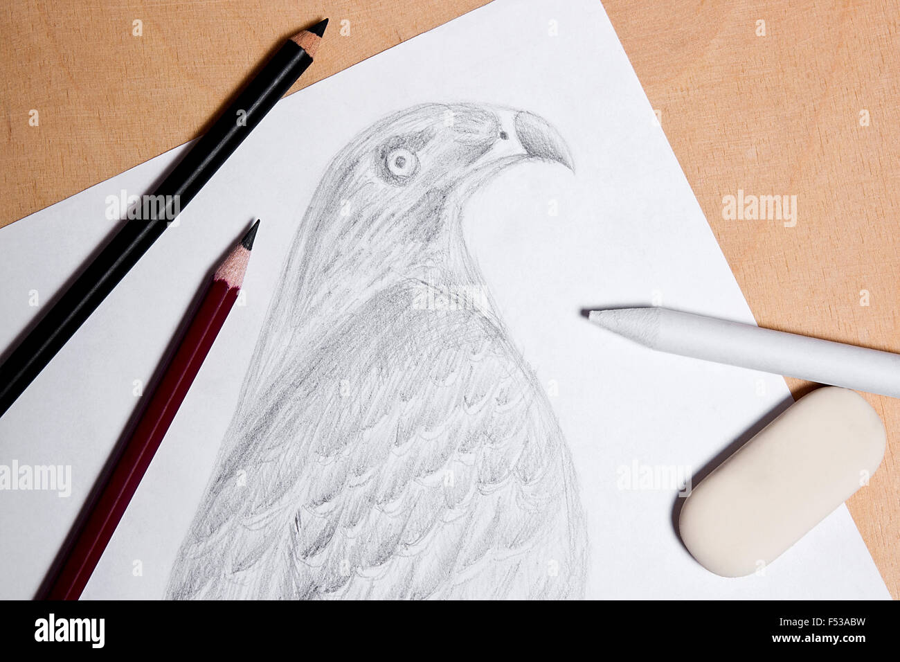 Graphite pencil, eraser and stamp with drawing hawk on the wooden ...