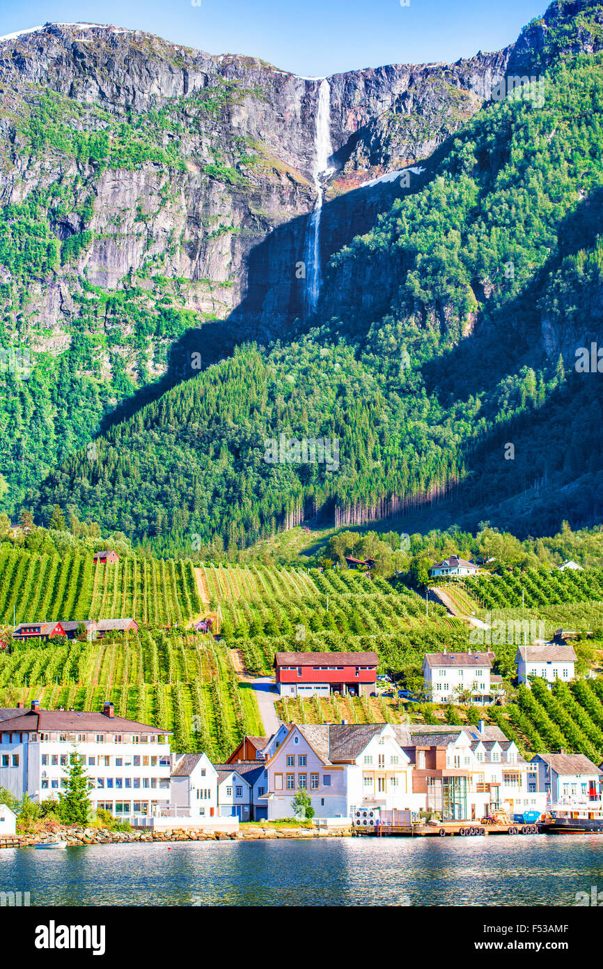 Meadows and village on Hardanger Fiord. Norway shore with view. Norway ...