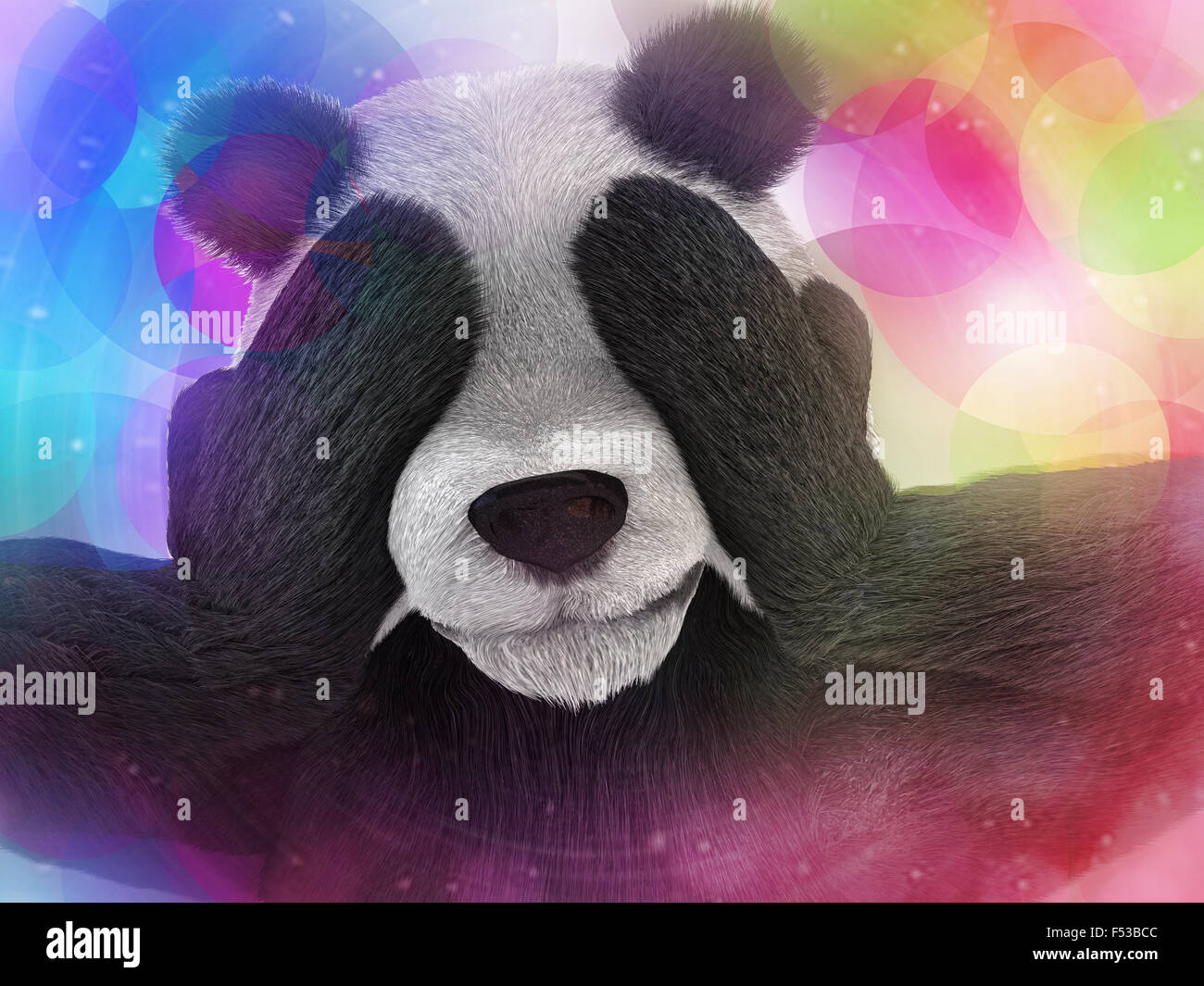 Muzzle panda hi-res stock photography and images - Alamy