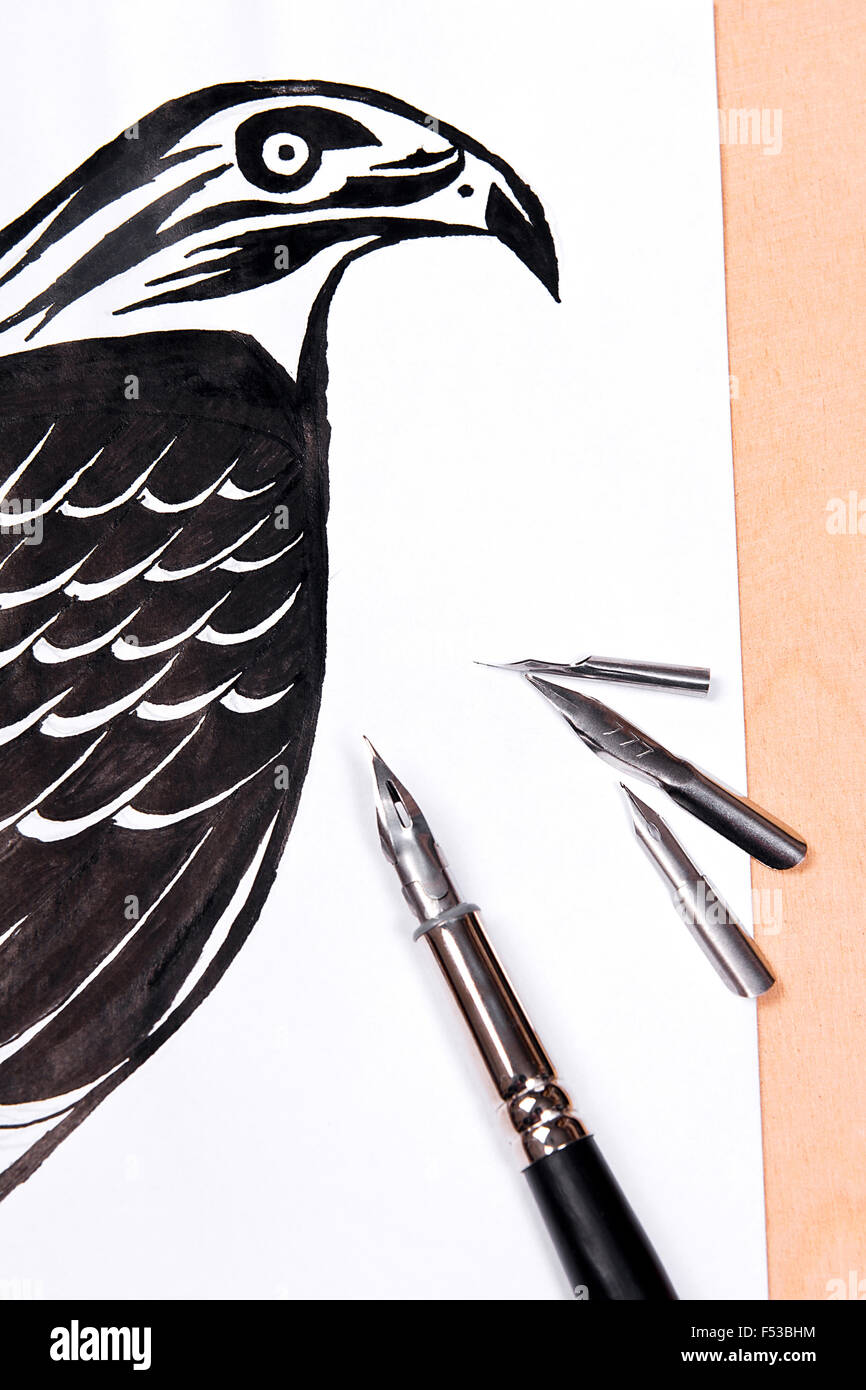 Pen Drawings Of Birds