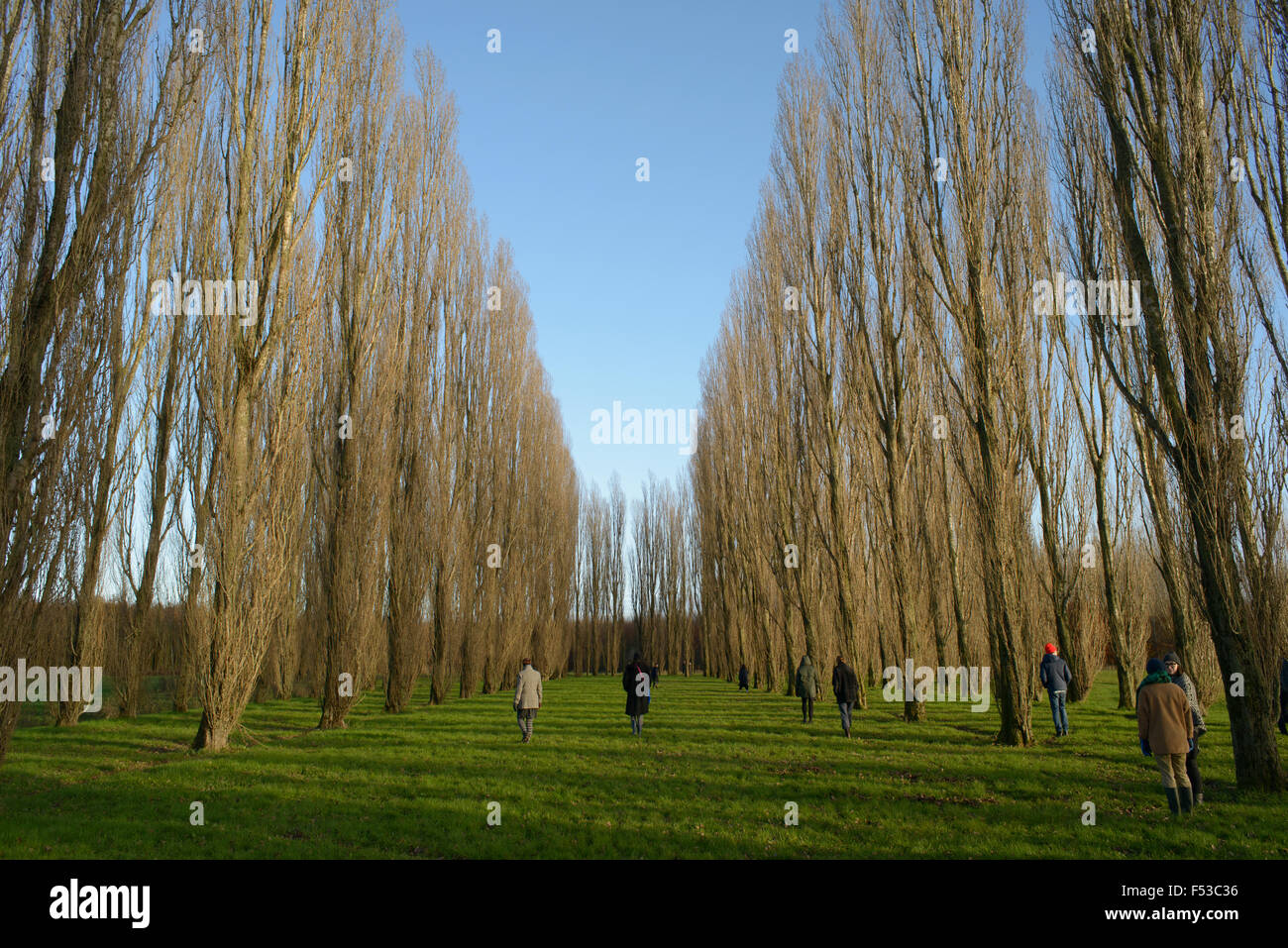 Land art cathedral Flevoland, Netherlands Stock Photo - Alamy