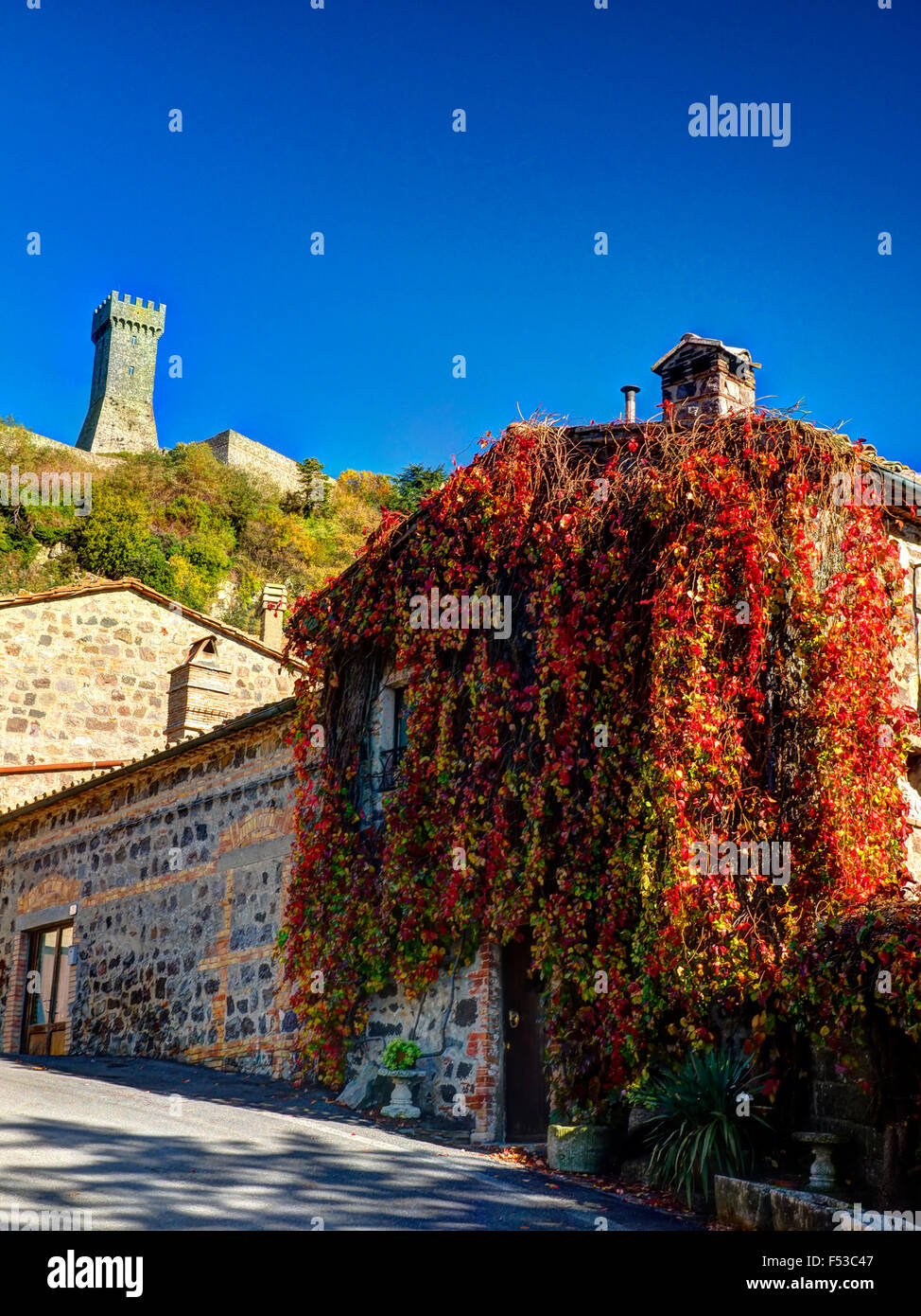 Europe, Italy, Tuscany, Contignano. A house covered in autumn colored ...