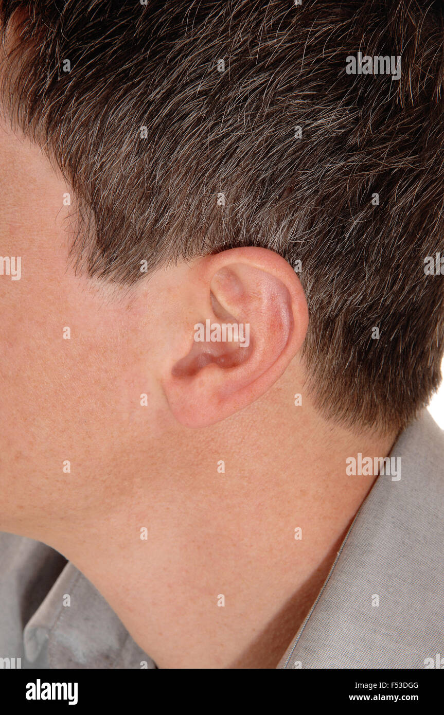A closeup picture of the ear of a young man with brown hair and a grey ...