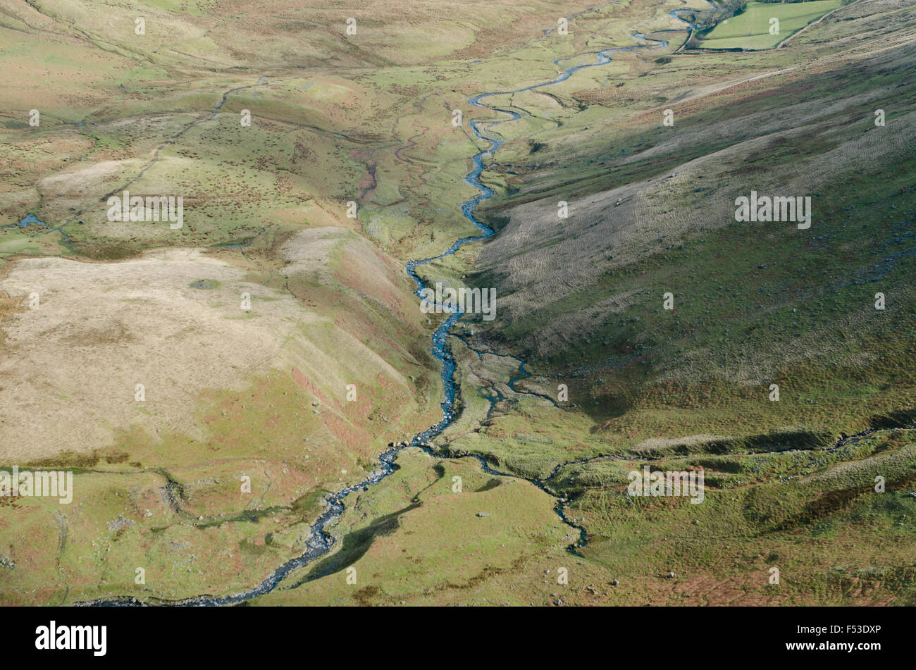 wilderness walks in cumbria United Kingdom with wild horses Stock Photo ...