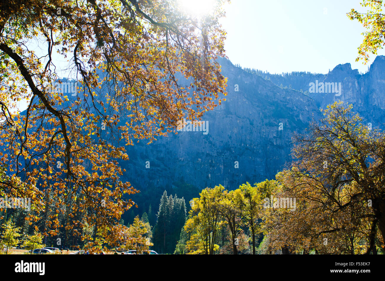 light and shadow in Yosemite national park, USA Stock Photo - Alamy