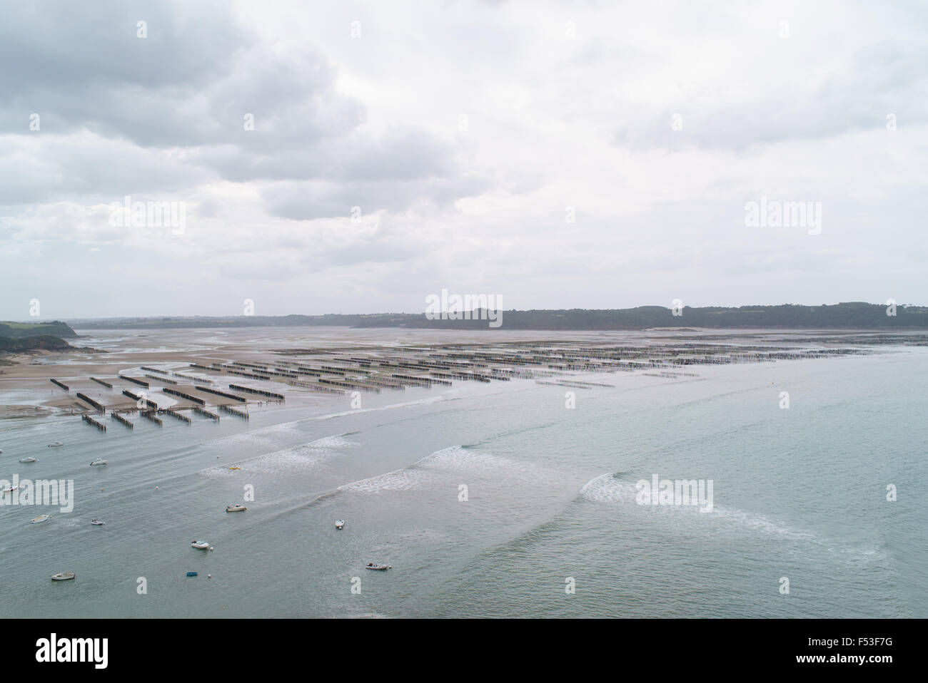 eco agronomy mussel growing in Brittany France Stock Photo - Alamy
