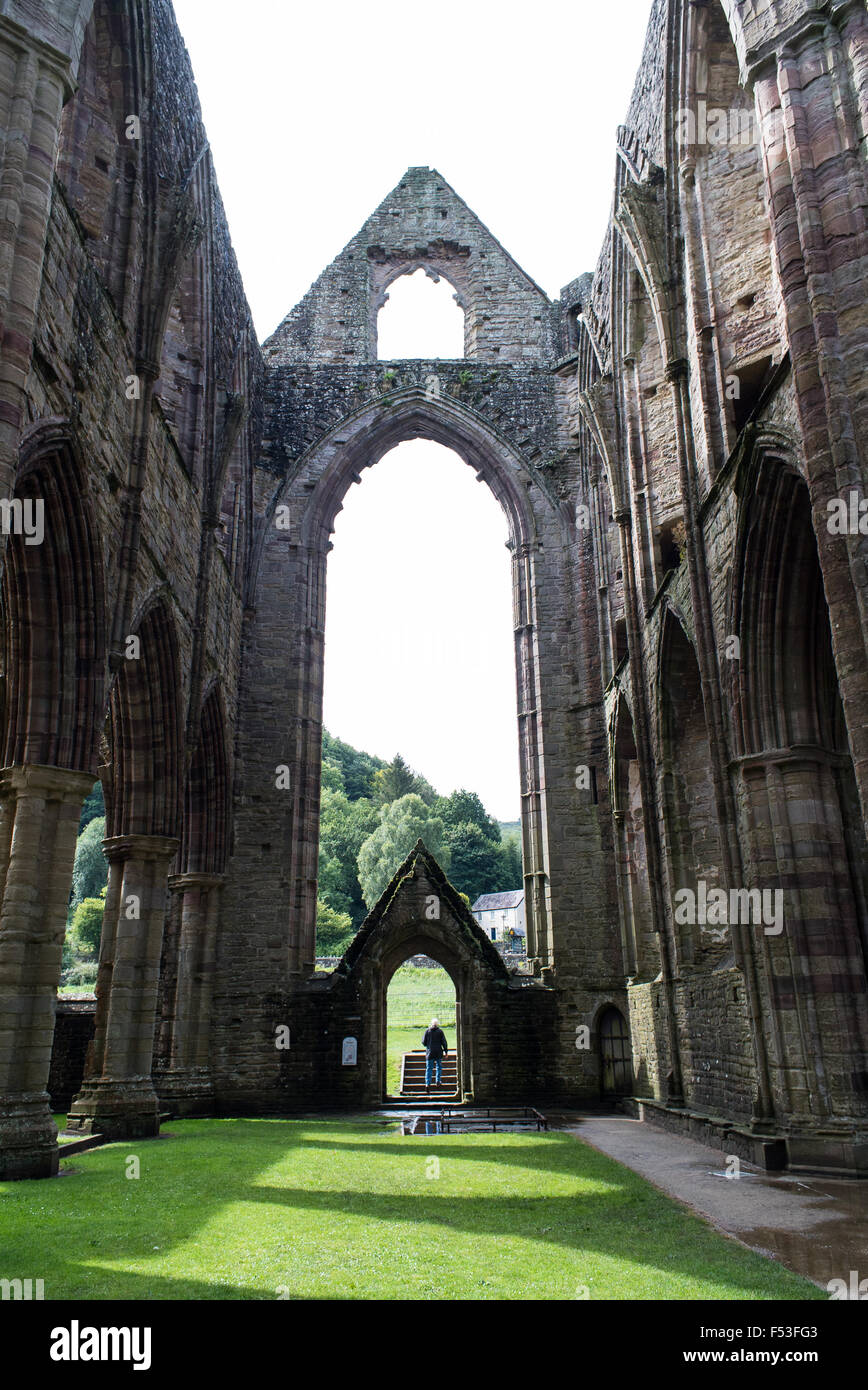 views of Tintern Abbey Stock Photo - Alamy