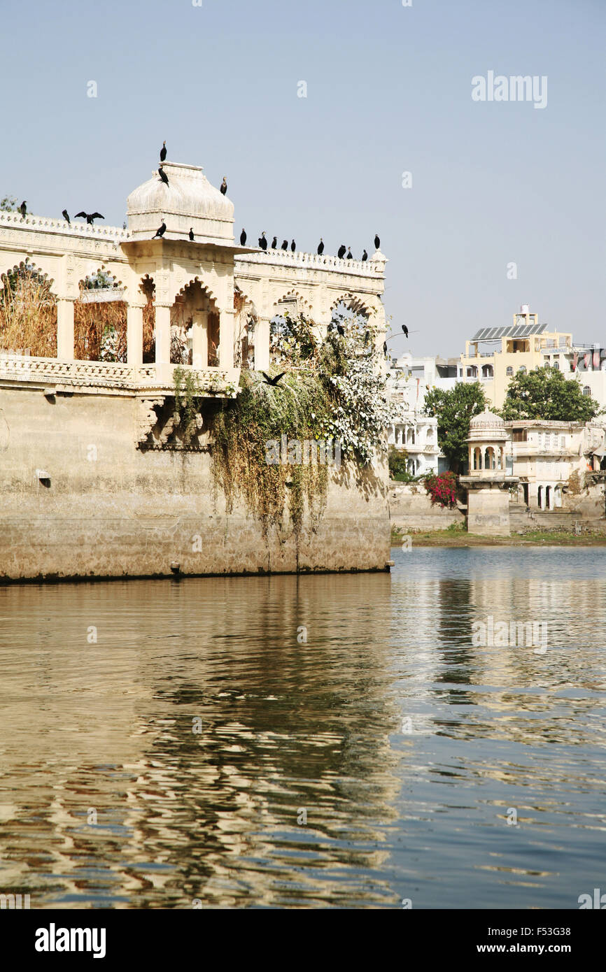 Asia, India, Rajasthan, Udaipur Stock Photo - Alamy