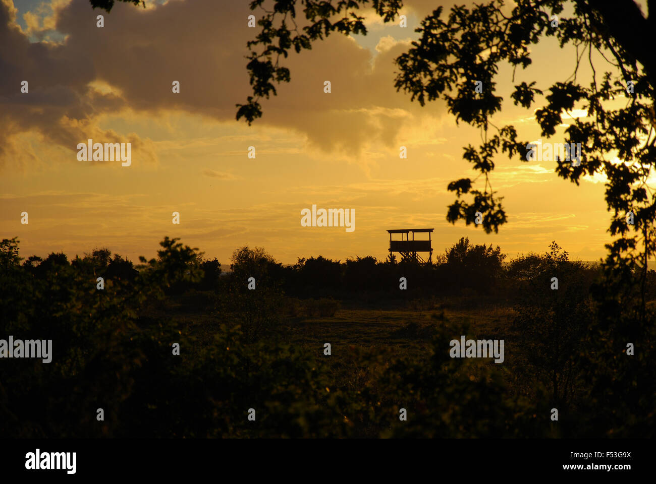 Bird watching tower by sunset in a green landscape Stock Photo - Alamy