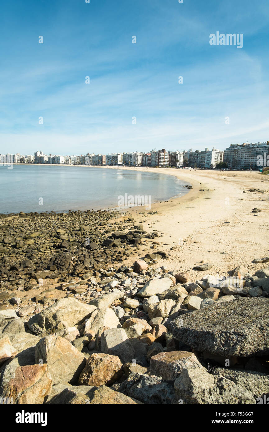 Montevideo beach and skyline on a sunny day Stock Photo - Alamy