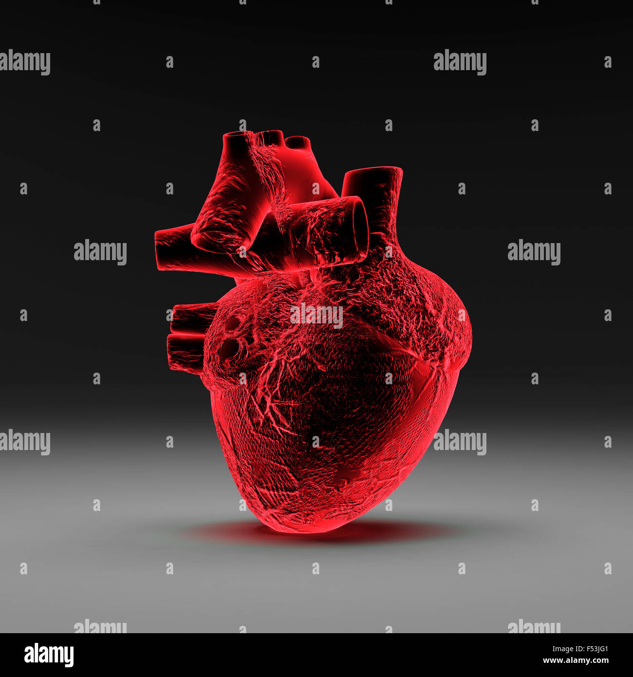 Heart x ray hi-res stock photography and images - Alamy
