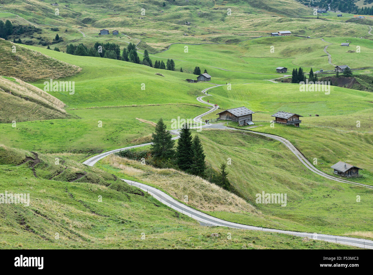 Verdant farmland in the Alpe di Siusi in the Dolomites of Italy Stock ...