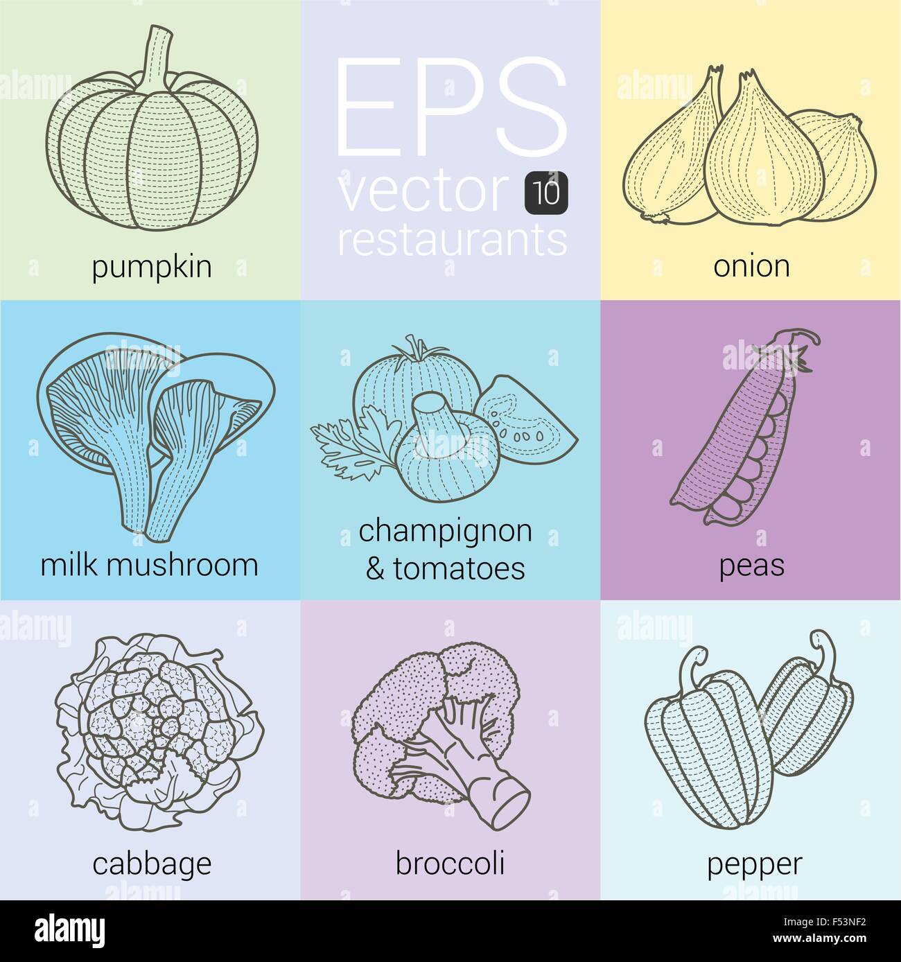 collection of vector contour linear icons ingredients dishes ...