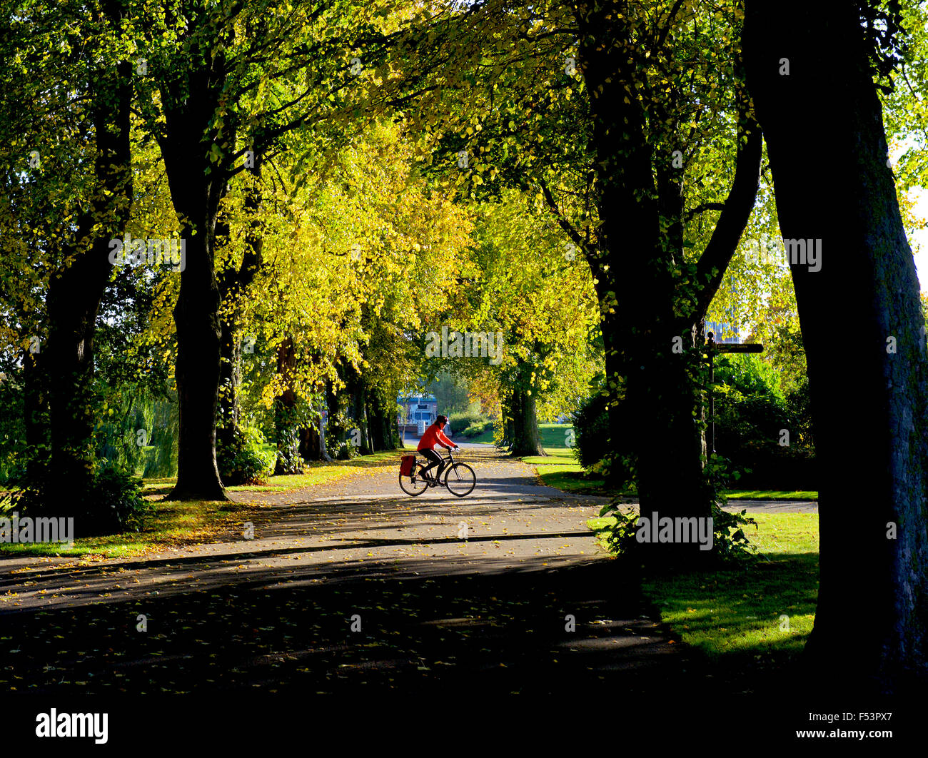 Autumn colours in Bitts Park, Carlisle, Cumbria, England UK Stock Photo ...