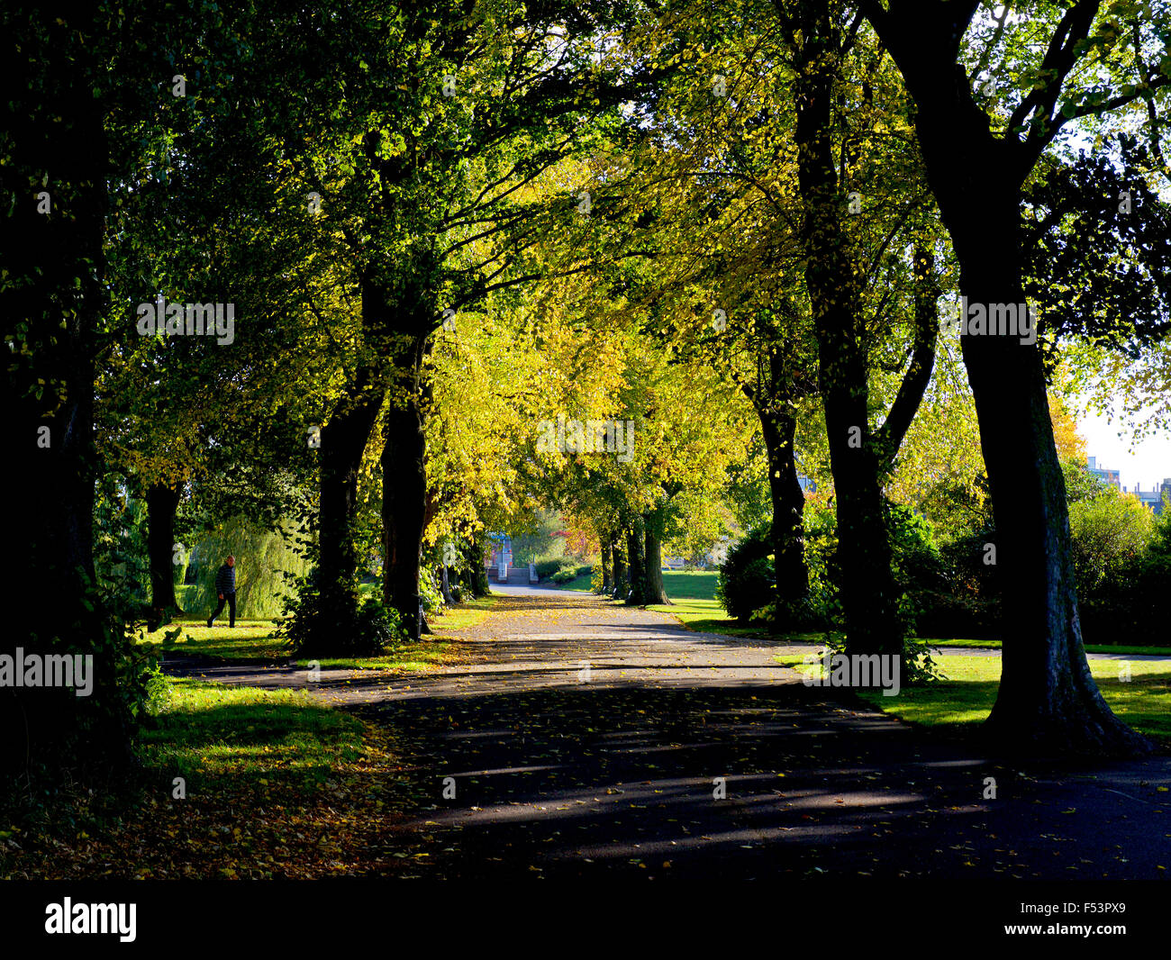 Autumn colours in Bitts Park, Carlisle, Cumbria, England UK Stock Photo ...