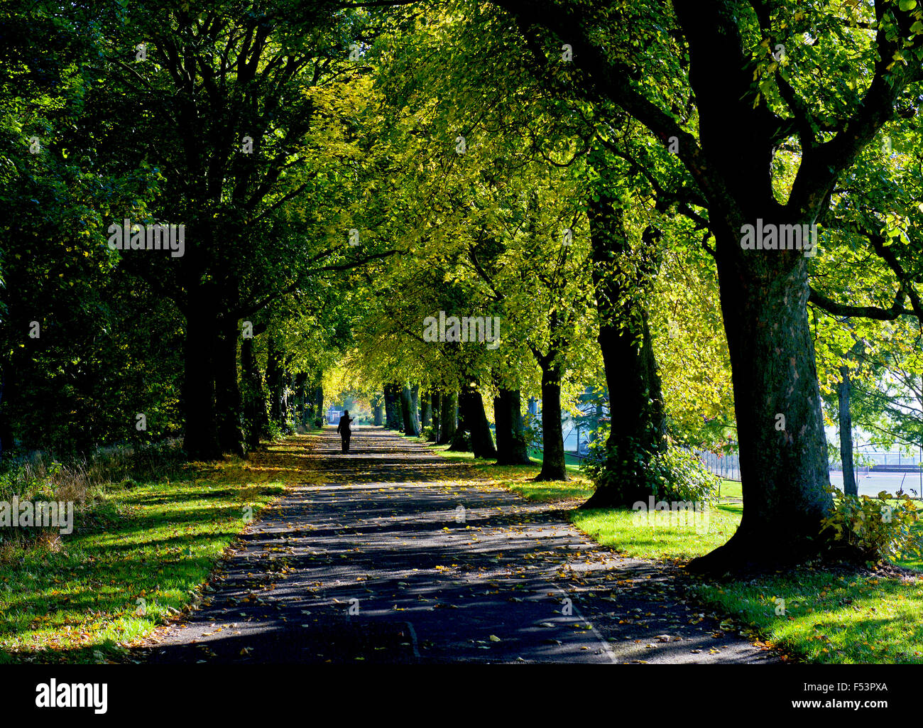 Autumn colours in Bitts Park, Carlisle, Cumbria, England UK Stock Photo ...
