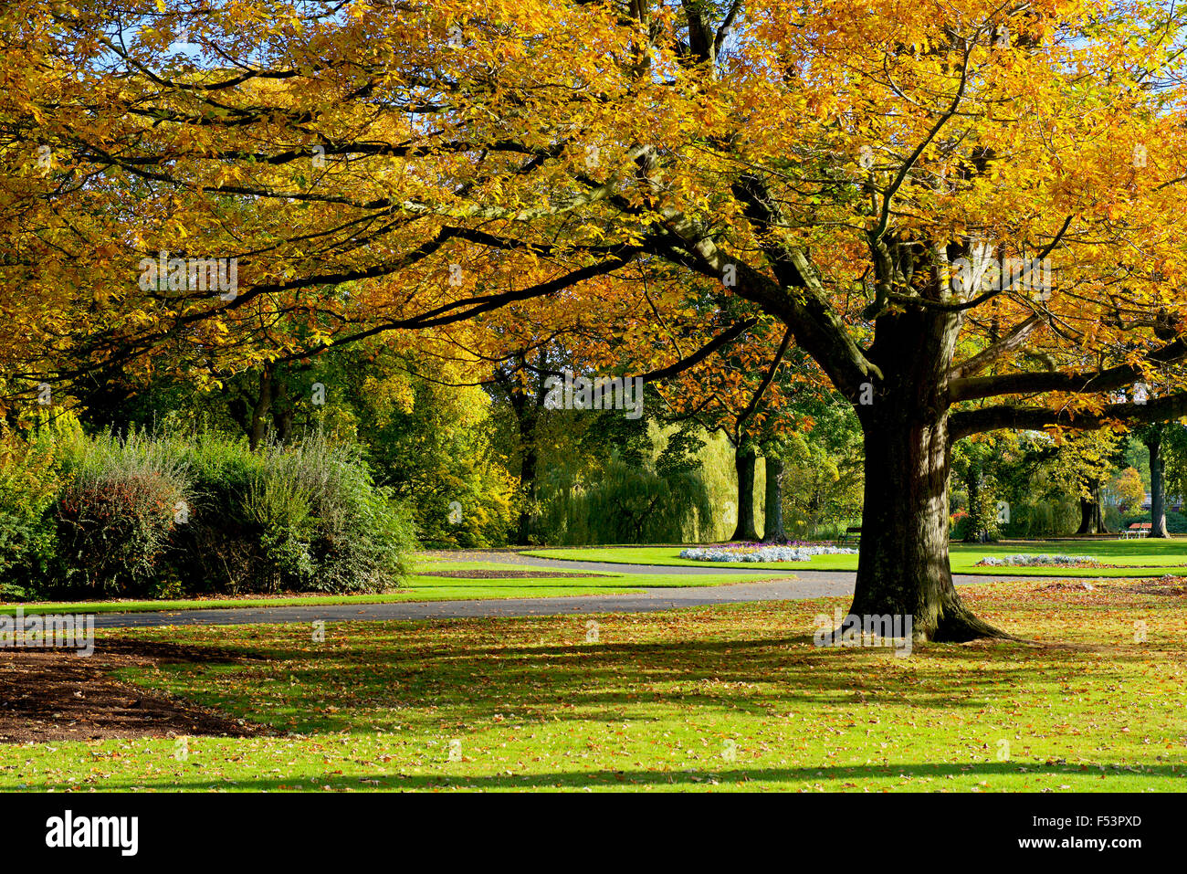Autumn colours in Bitts Park, Carlisle, Cumbria, England UK Stock Photo ...