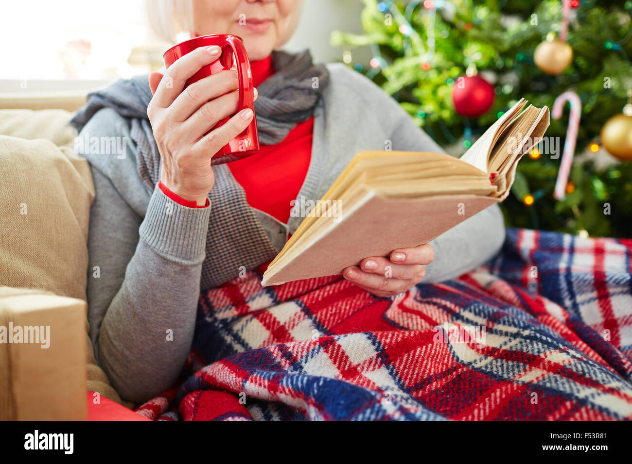 Senior woman reading a book hi-res stock photography and images - Alamy