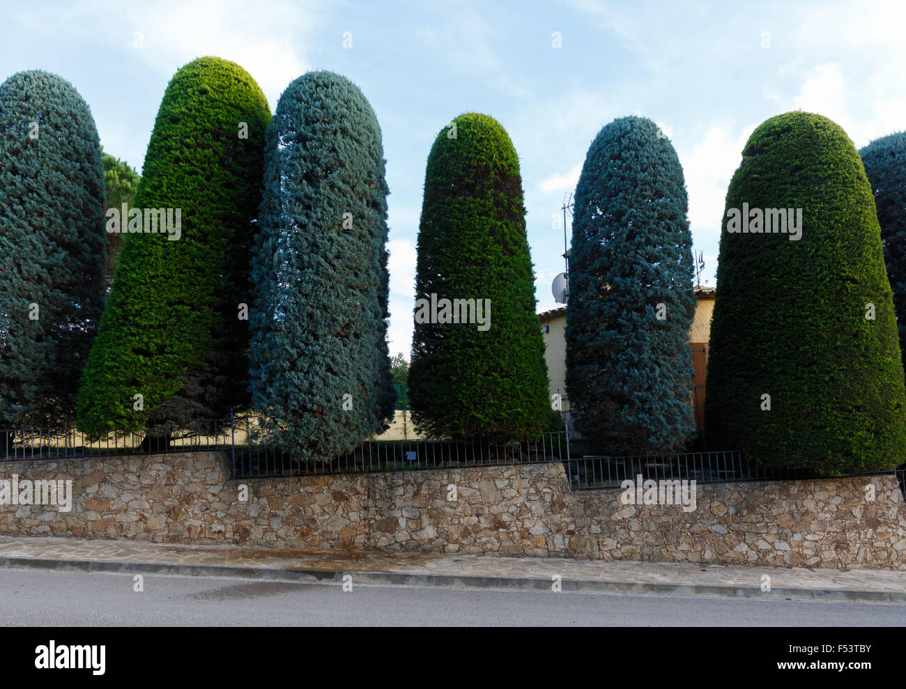 High greenery hi-res stock photography and images - Alamy