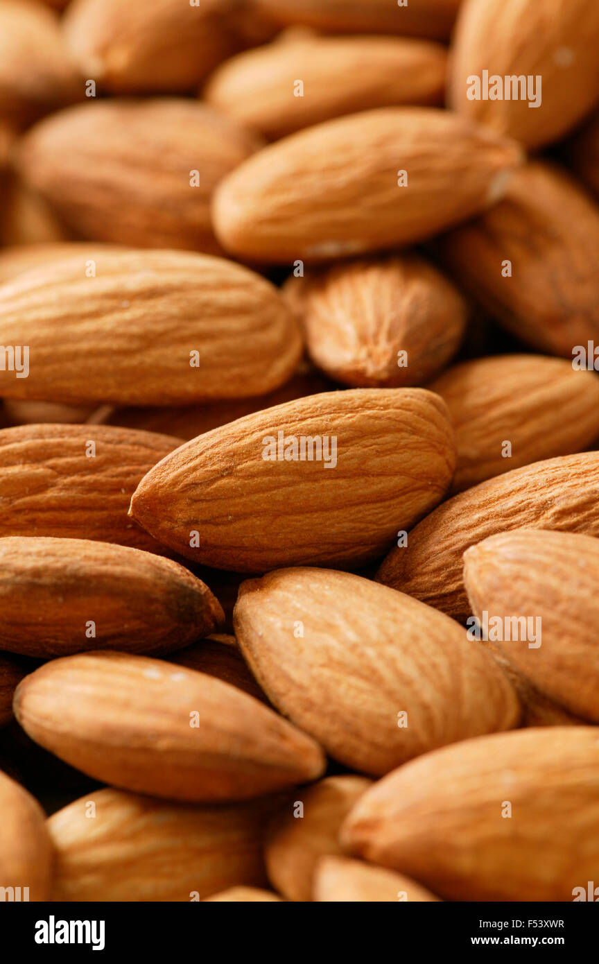 Almonds (Prunus Dulcis). Nuts without shells Stock Photo - Alamy