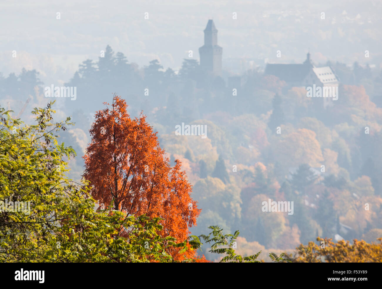 Falkenstein castle in taunus hi-res stock photography and images - Alamy