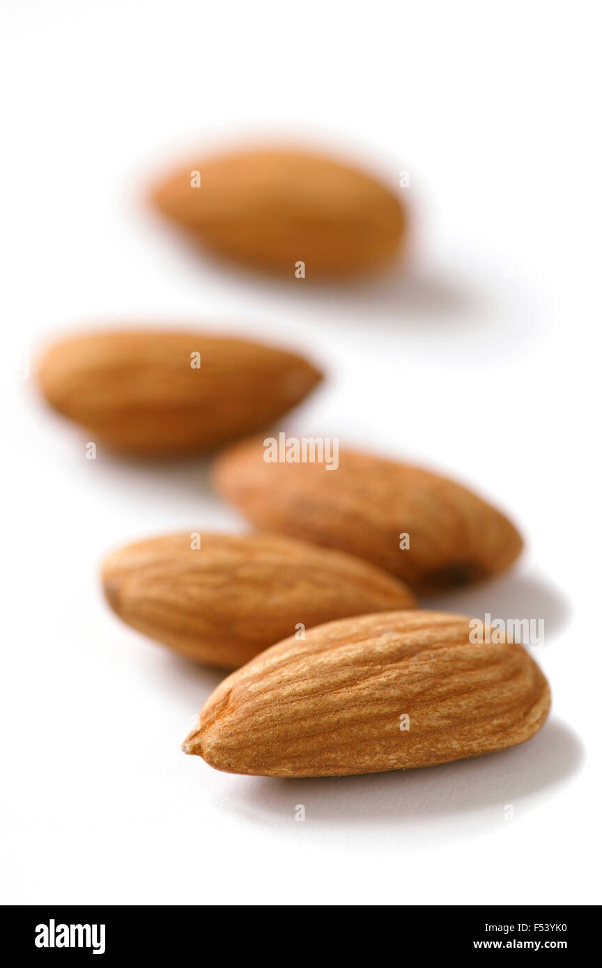 Almonds (Prunus Dulcis) Nuts without shells Stock Photo - Alamy