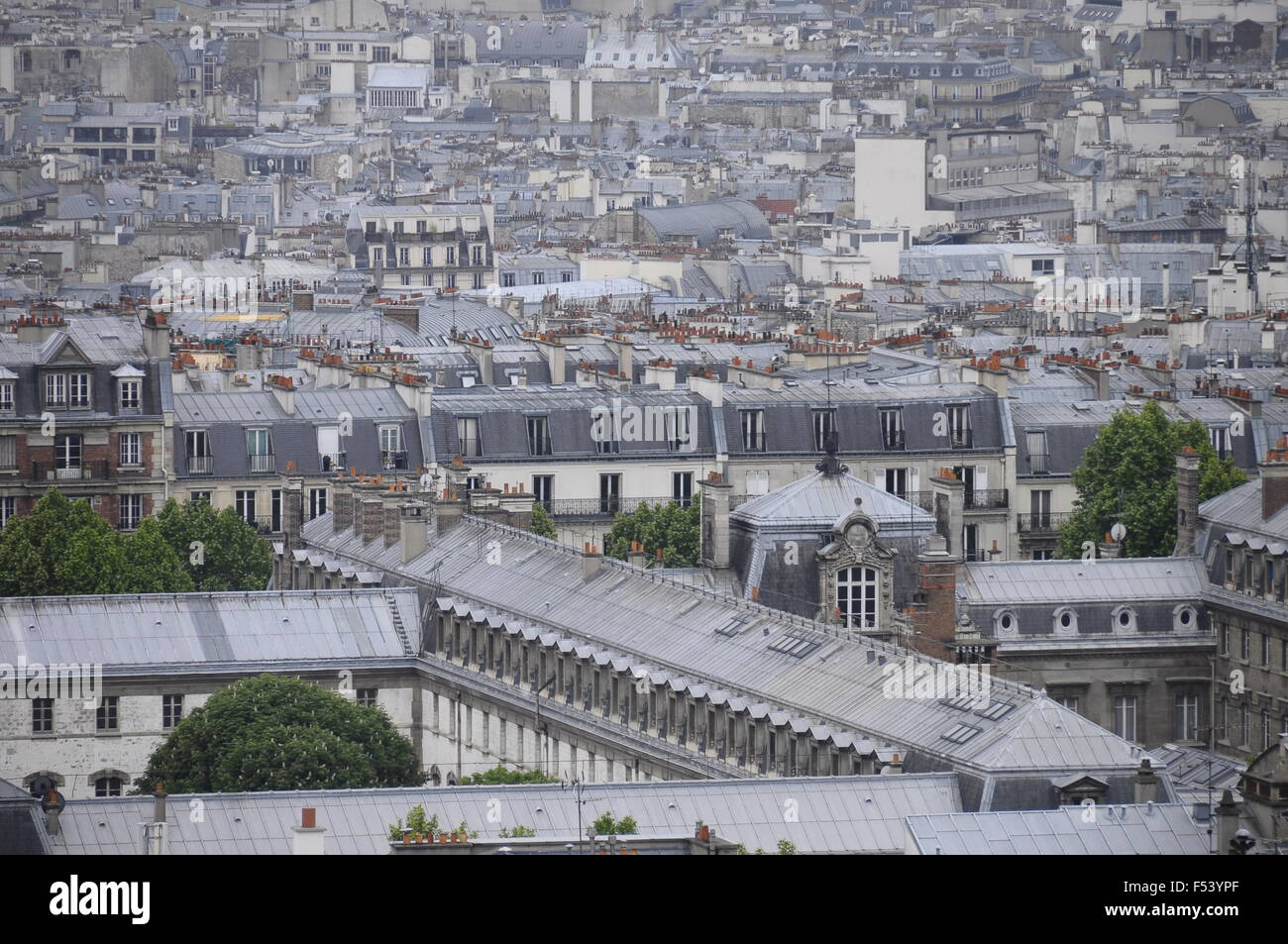 Overview of gray Paris roofs in france Stock Photo - Alamy