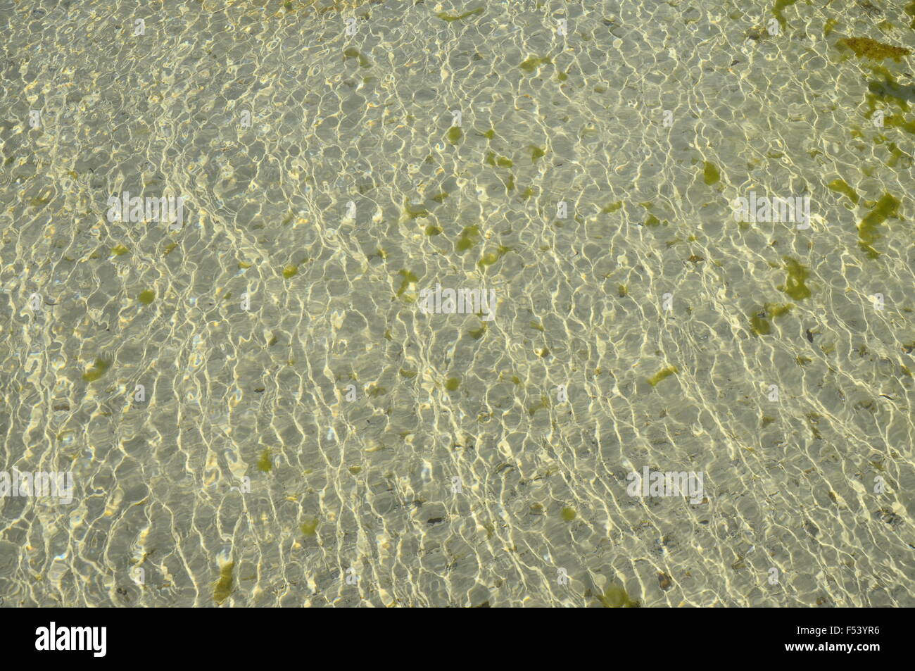 Lake Crystal clear water texture for background on sand Stock Photo - Alamy
