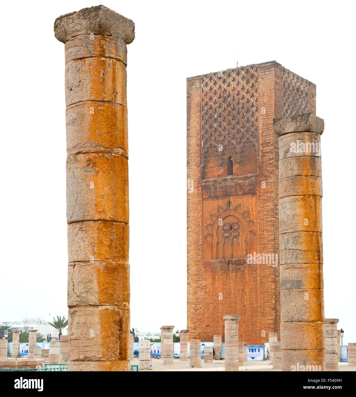 chellah in morocco africa the old roman deteriorated monument and site ...