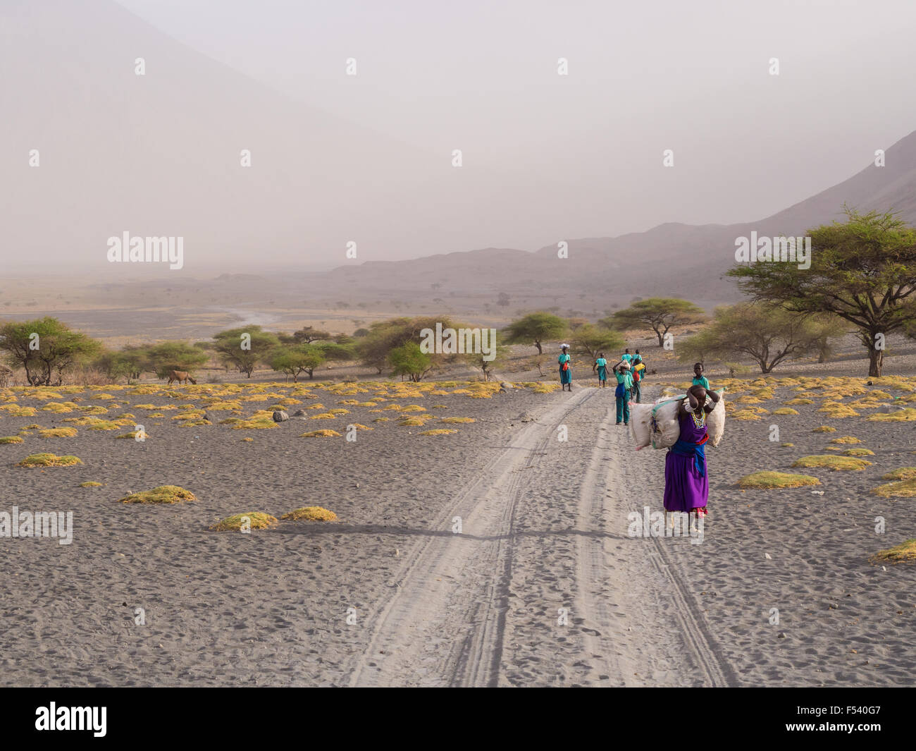 Road in the Arusha region, close to Lake Natron in Northern Tanzania ...