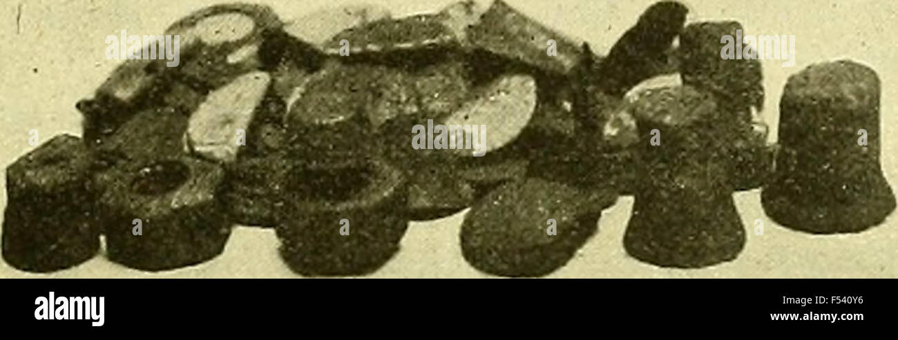 El hornero hi-res stock photography and images - Alamy