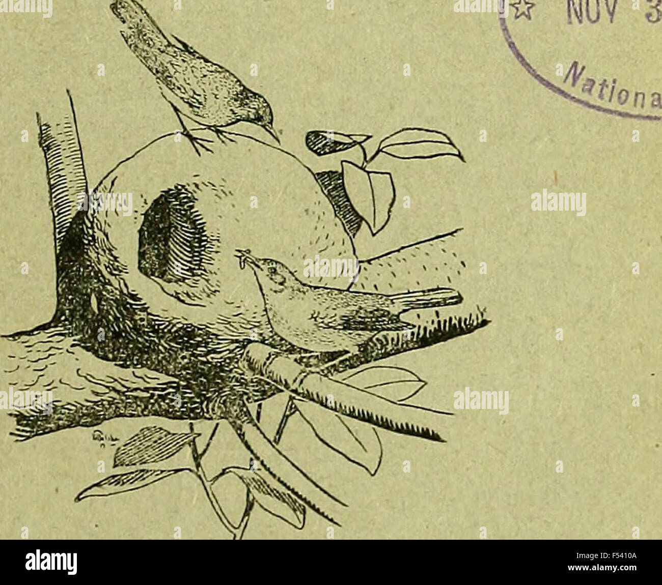 El hornero hi-res stock photography and images - Alamy