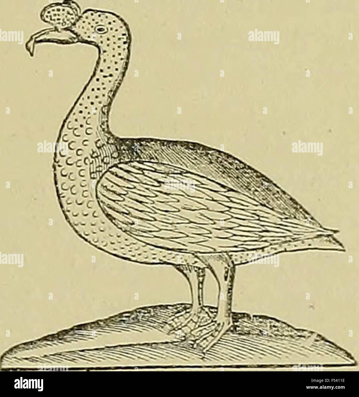 El hornero hi-res stock photography and images - Alamy