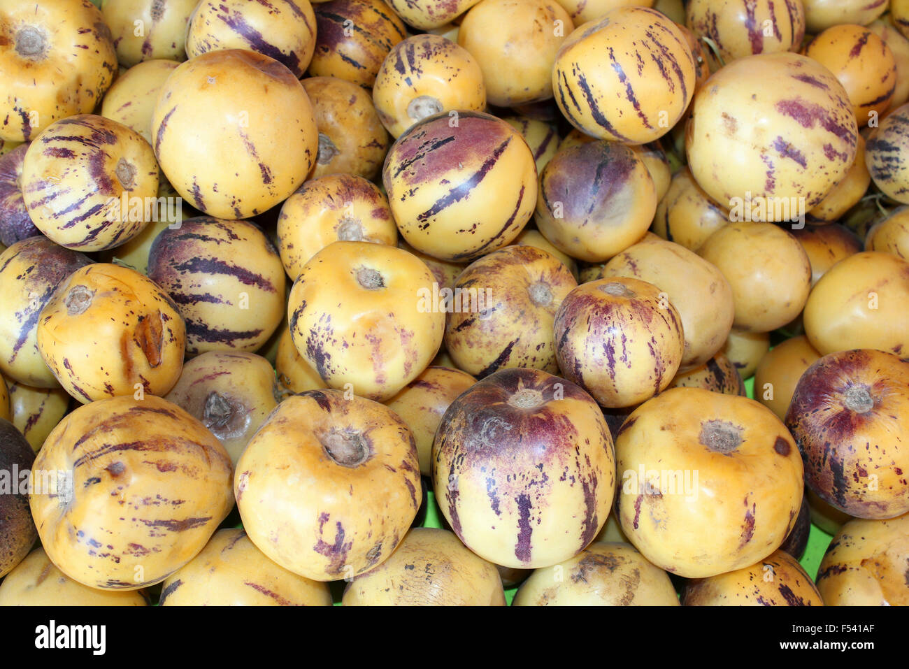 Pepino Dulce a.k.a. sweet cucumber or melon pear Stock Photo - Alamy