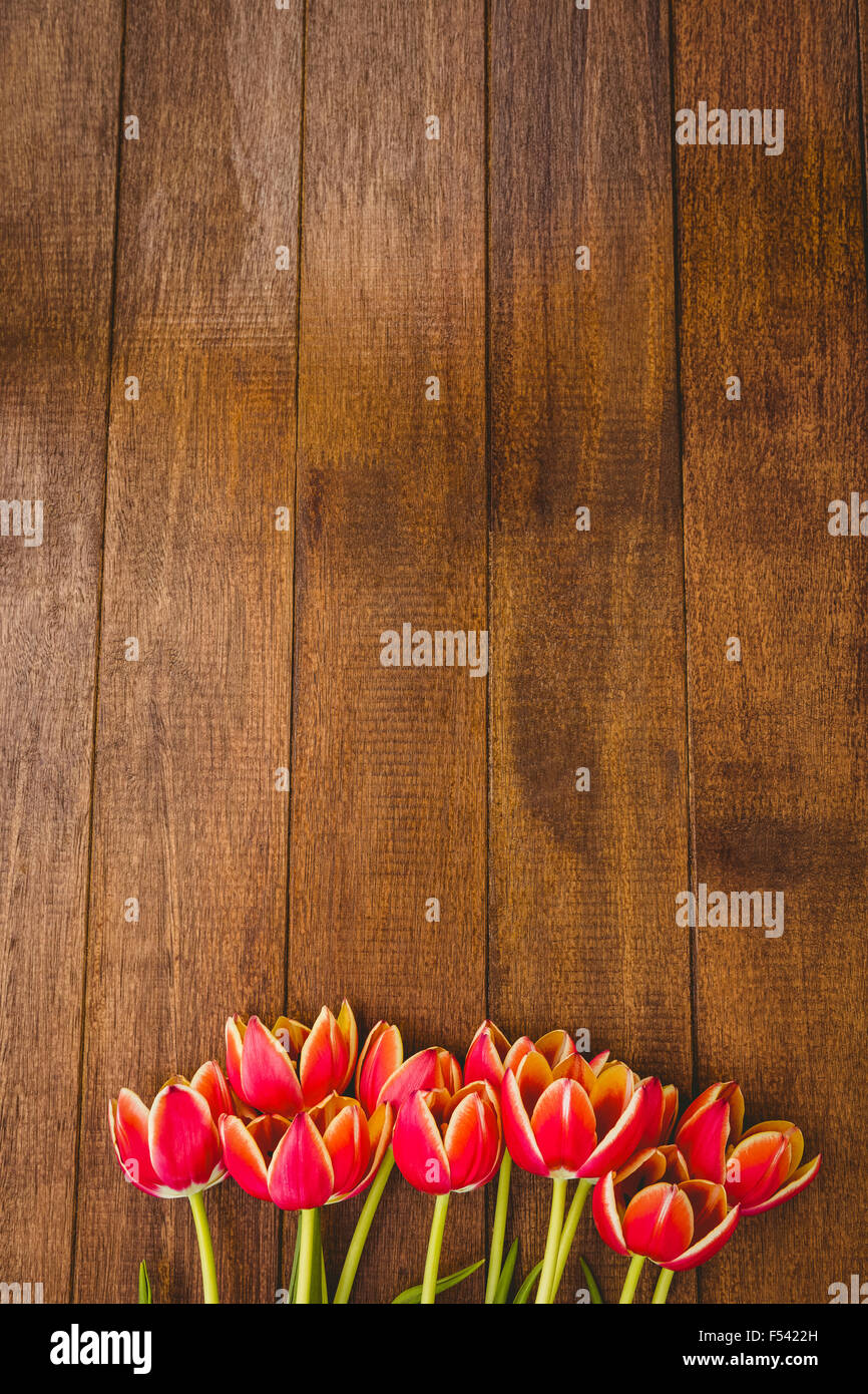 Red and beautiful hi-res stock photography and images - Alamy