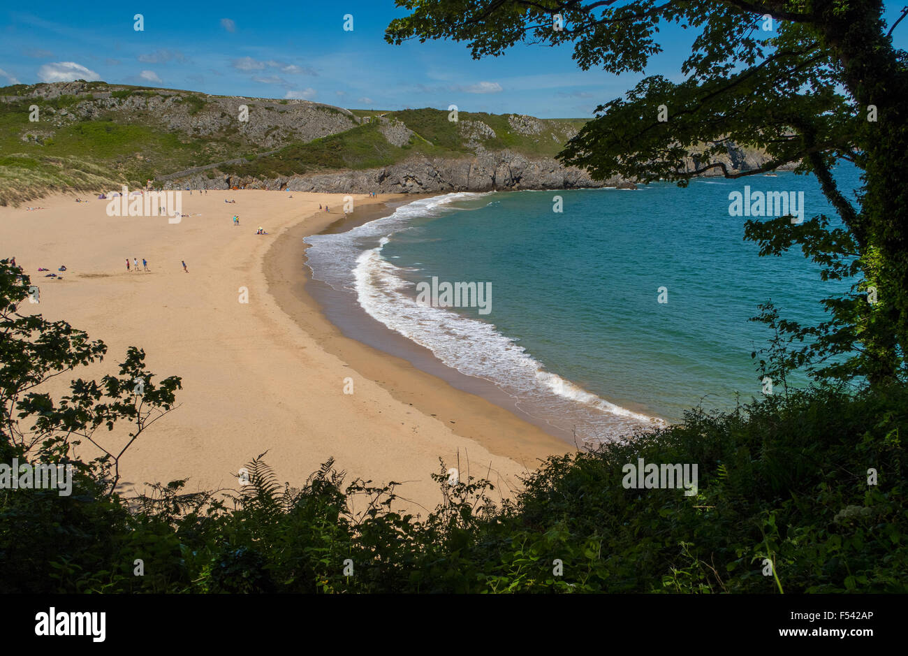 Barafundle Bay, Pembrokeshire Stock Photo - Alamy