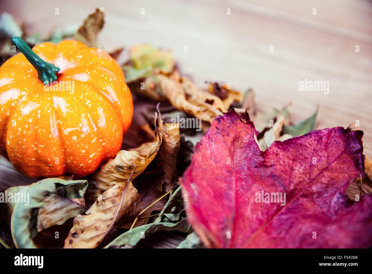 Autumnal leaf pattern on desk Stock Photo - Alamy