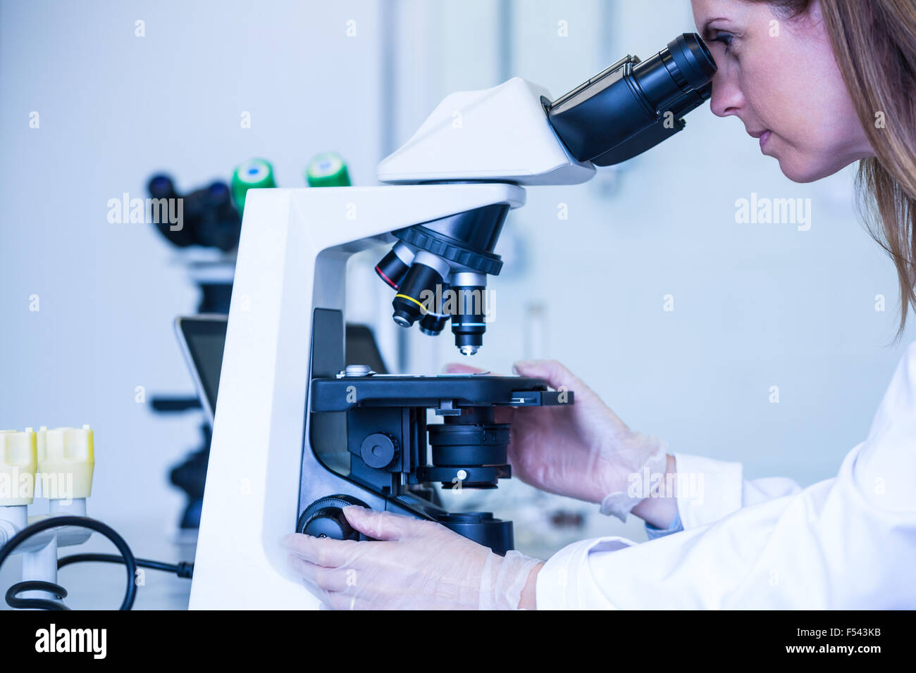 Scientist working with a microscope in laboratory Stock Photo - Alamy