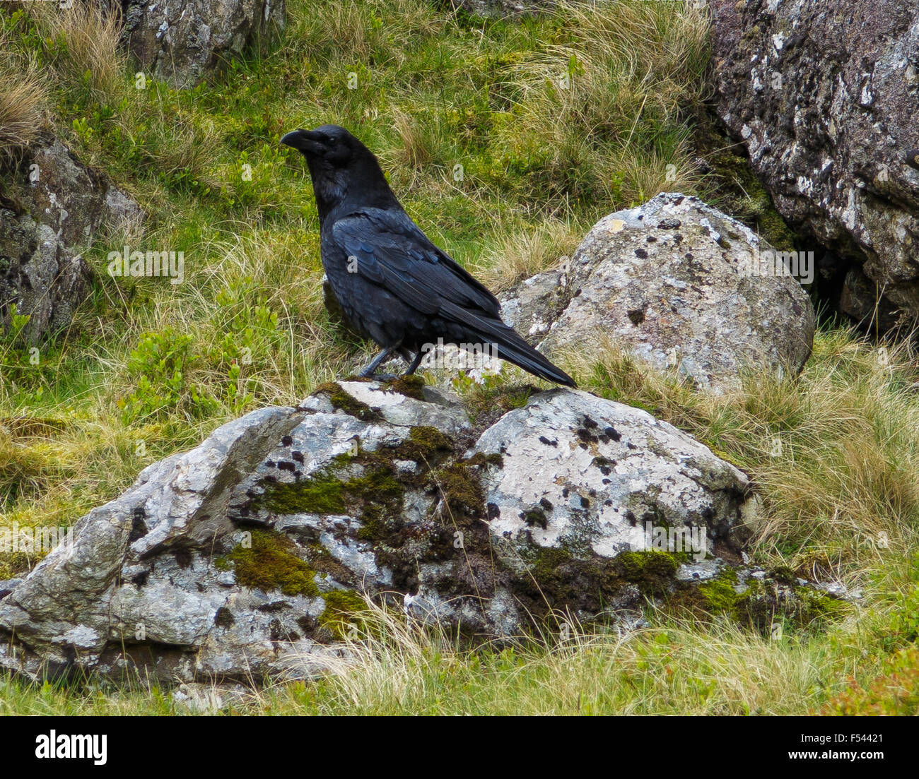 Cwm cau hi-res stock photography and images - Alamy
