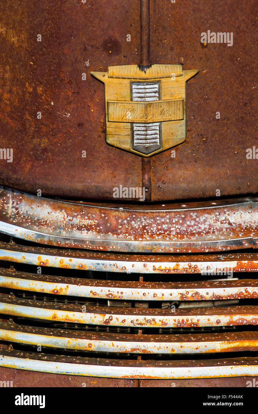 Nash 600 High Resolution Stock Photography and Images - Alamy