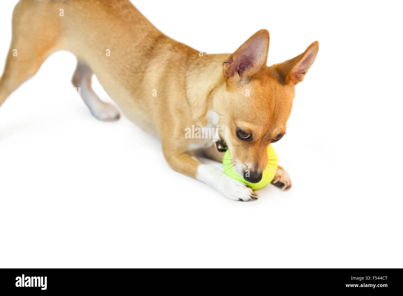 Little ball Cut Out Stock Images & Pictures - Alamy