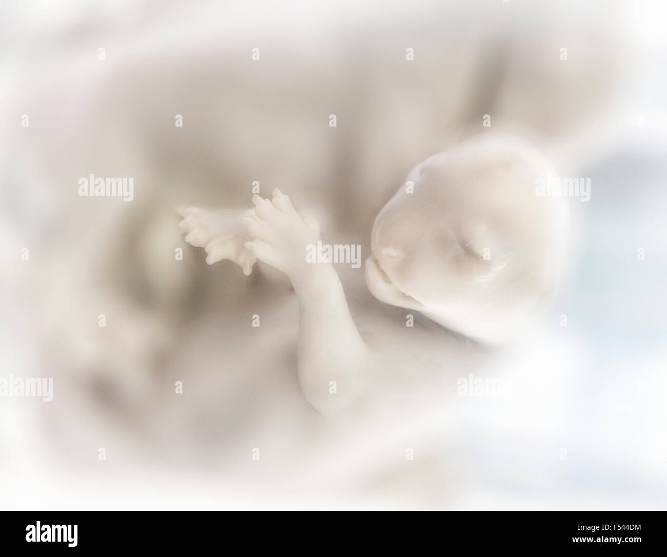 Embryo research hi-res stock photography and images - Alamy