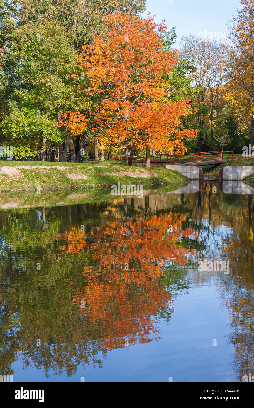Reflection of Autumn Trees in Water Stock Photo - Alamy