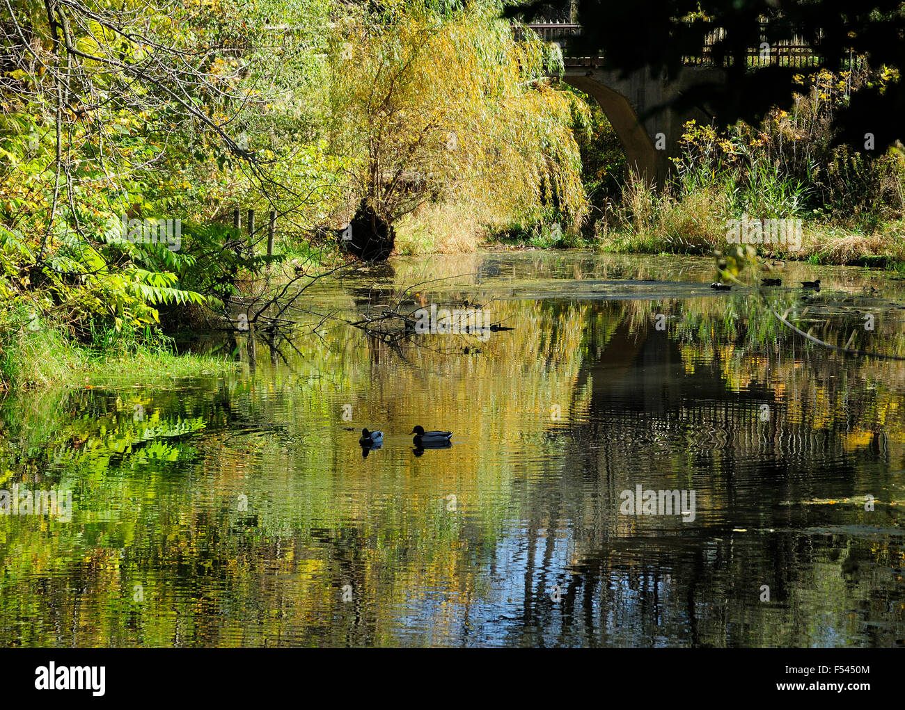 Back water channel hi-res stock photography and images - Alamy