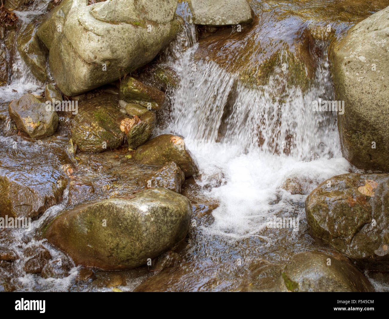 Mountain spring, Italy Stock Photo - Alamy
