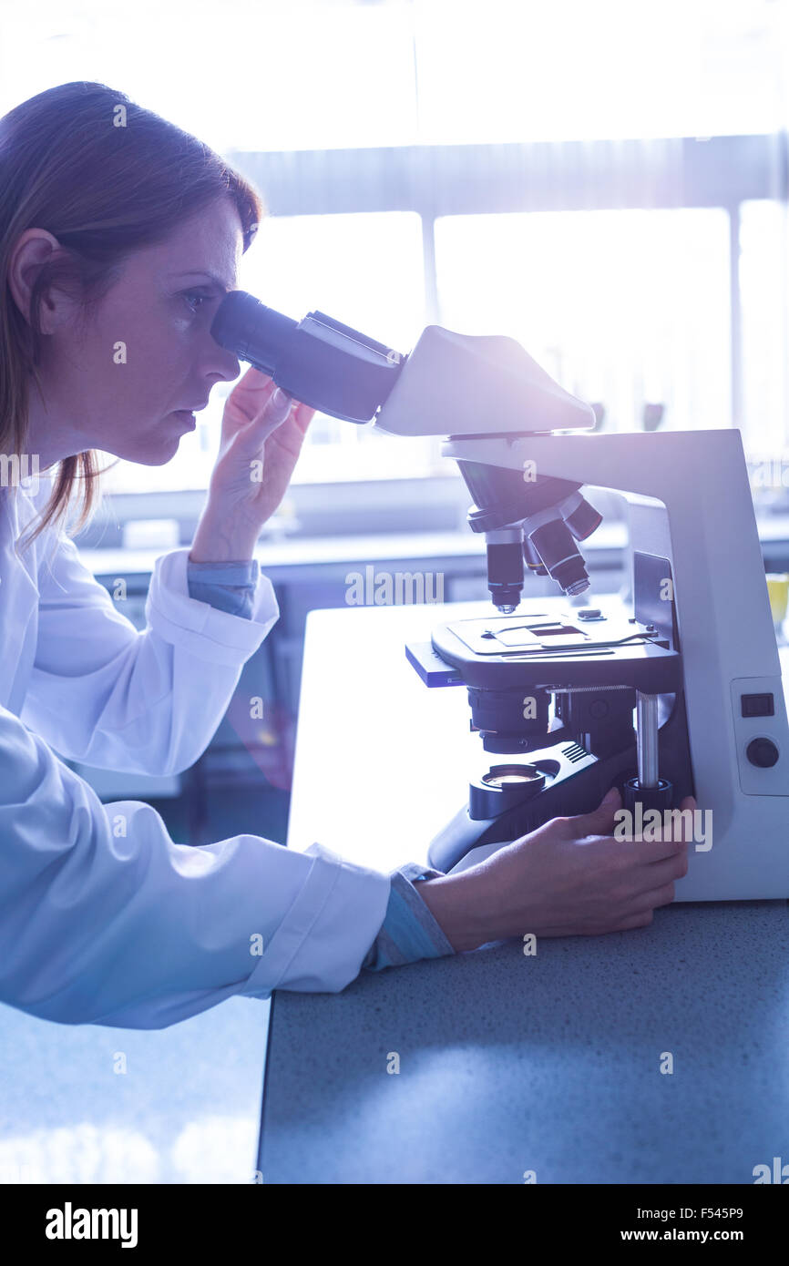 Scientist working with a microscope in laboratory Stock Photo - Alamy