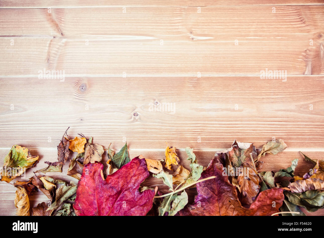 Autumn leaves with copy space Stock Photo - Alamy