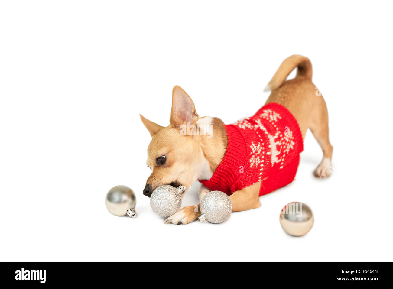 Cute baubles Cut Out Stock Images & Pictures - Alamy