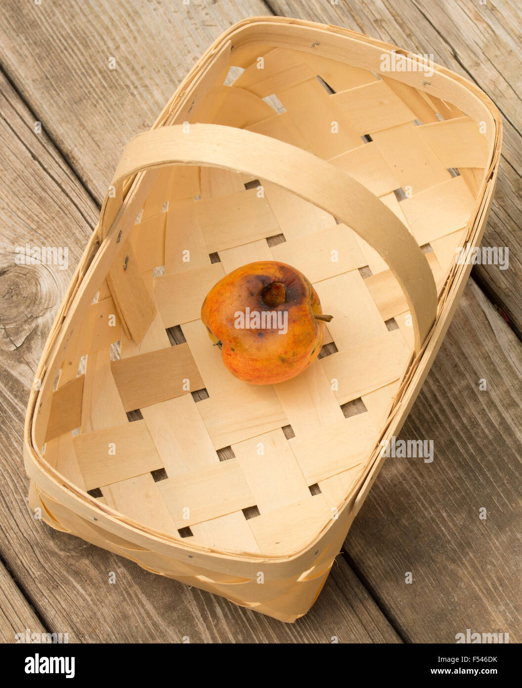 Poor nature hi-res stock photography and images - Alamy