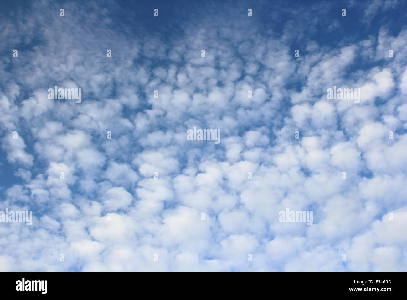 beautiful tiny clouds on sky background ready for your design Stock ...